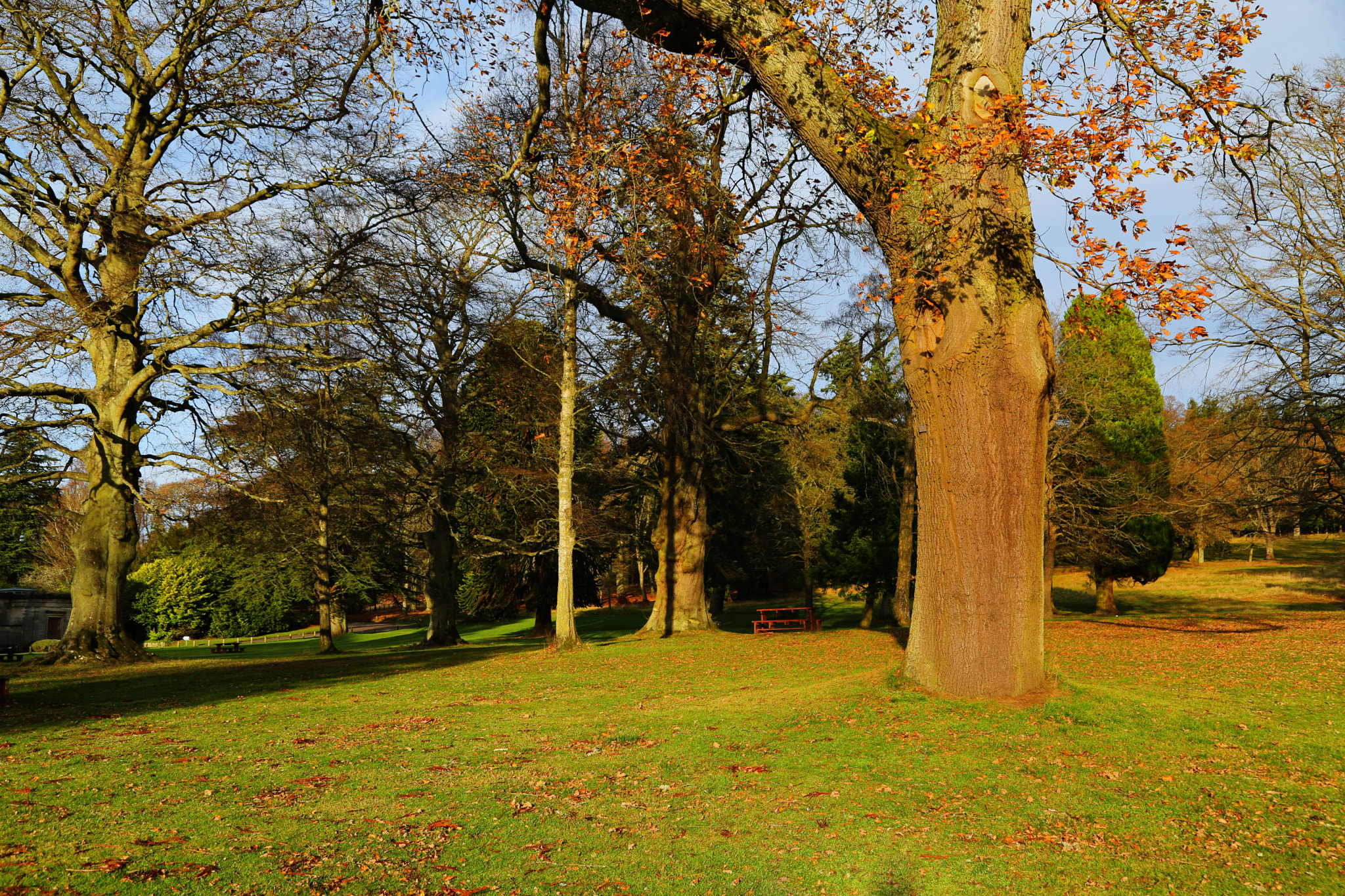 AUTUMN IN THE PARK by Hilda Murray | 500px