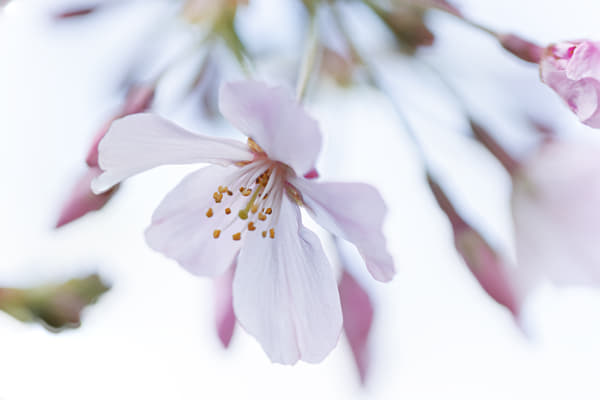 Richard Kam's Photos & Galleries | 500px