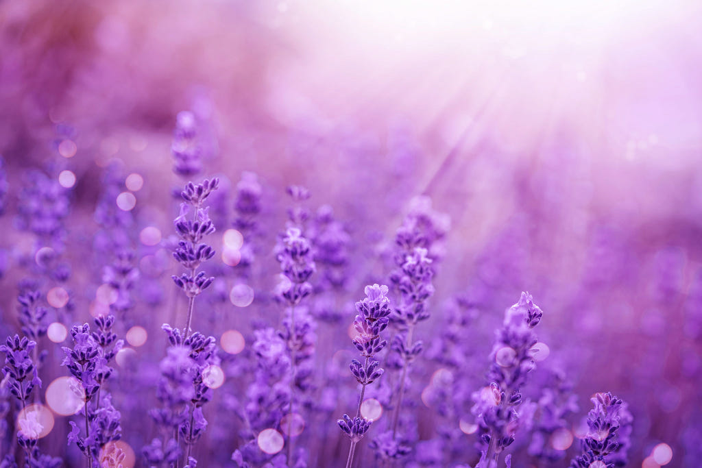 Maria by Nikolay Novikov | 500px