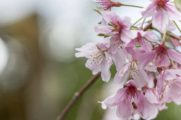 Richard Kam's Photos & Galleries | 500px