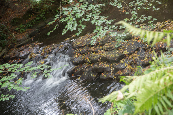 Jesmond dene small water cascade by Damien Talbot | 500px