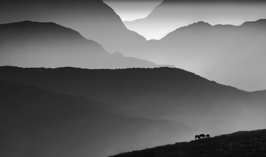 Anna I by Martin Hundák | 500px