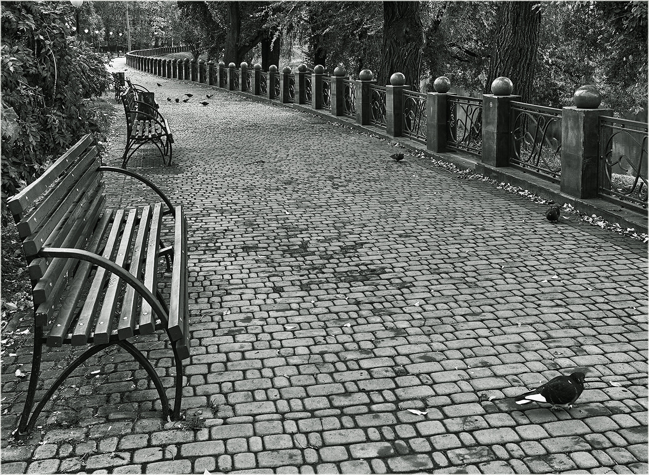 Doves of Peace by Alex Adler | 500px
