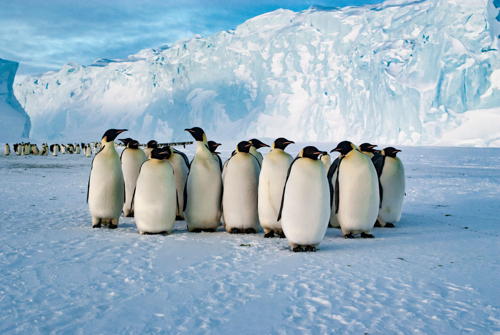 Engagement session M&T by Mariusz Duda | 500px