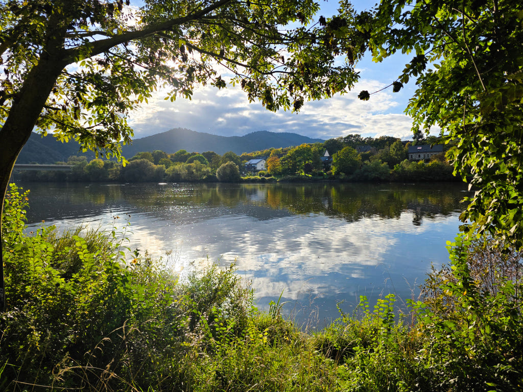 Beyond The Trees by Daniel Coleiro | 500px
