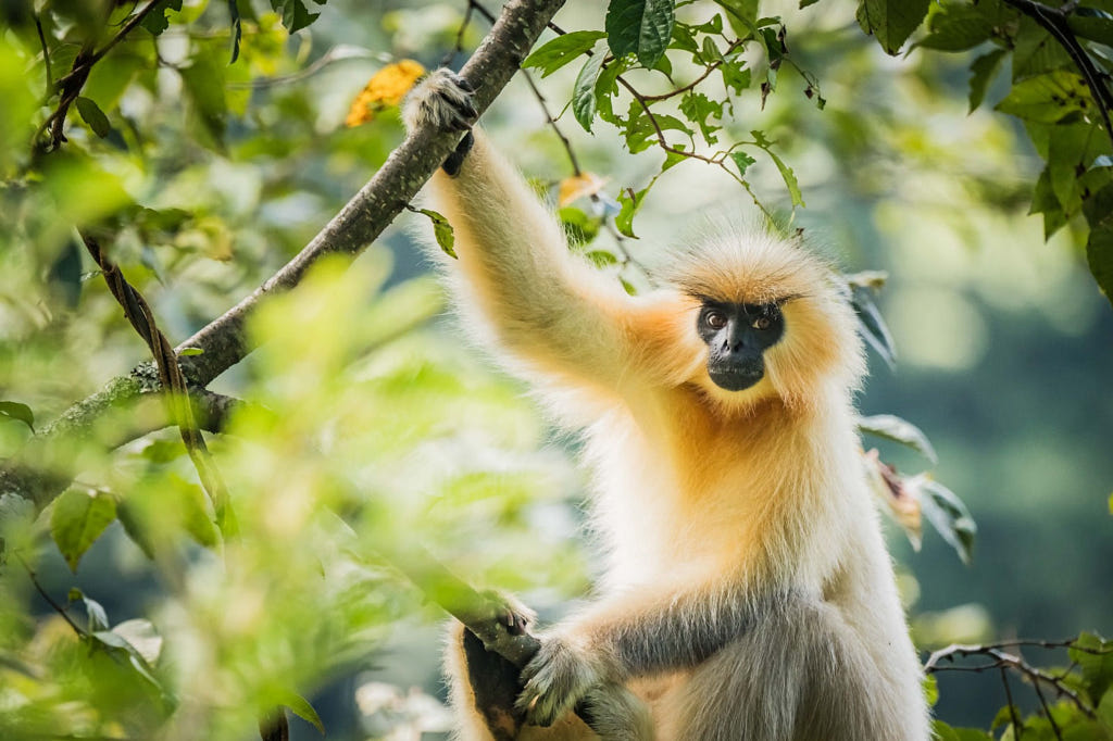 雪域青藏高原 by Jan Shen | 500px