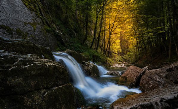 Forest Waterfall Symbolizes Nature's Dynamic Flow and Renewal ...