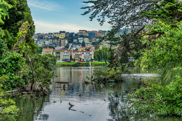 Lakeside Townscape Reflecting Peaceful Urban Integration with Nature ...