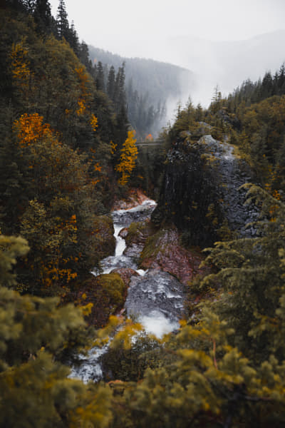Misty River Carves Path Through Ancient Wilderness | landscape photo by ...