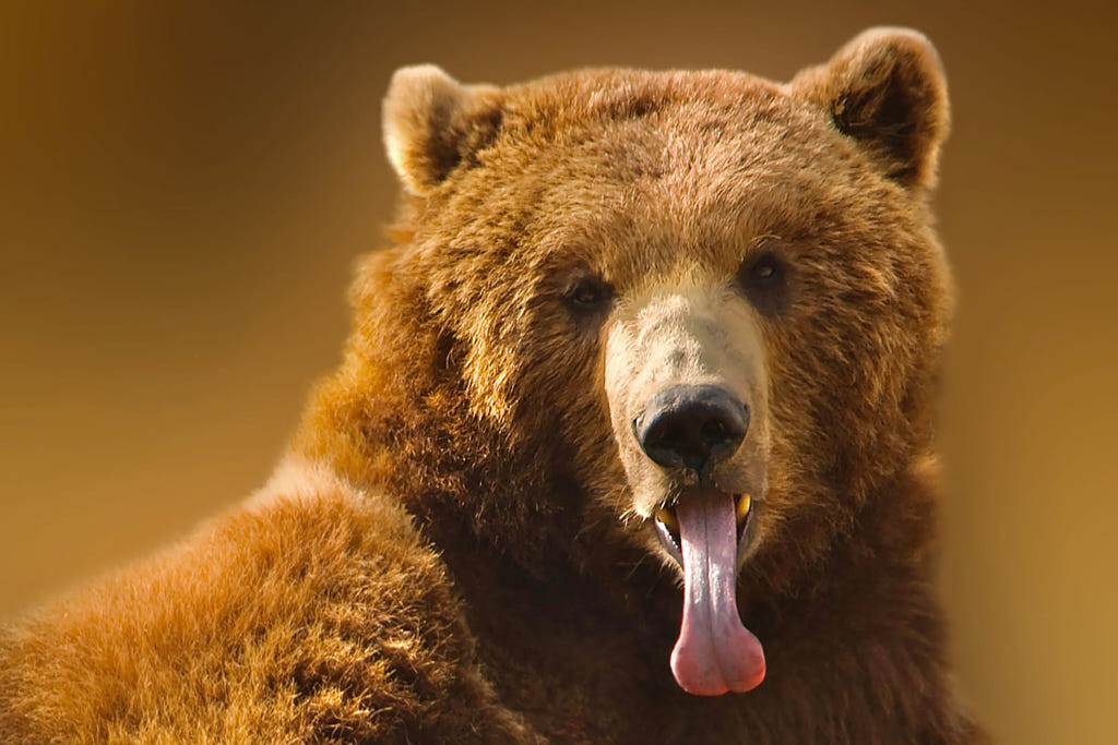 Demon of Screamin 2007 by Chris Ritchie | 500px