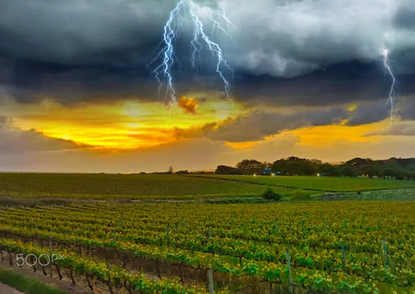 Terry Wells's Photos & Galleries | 500px