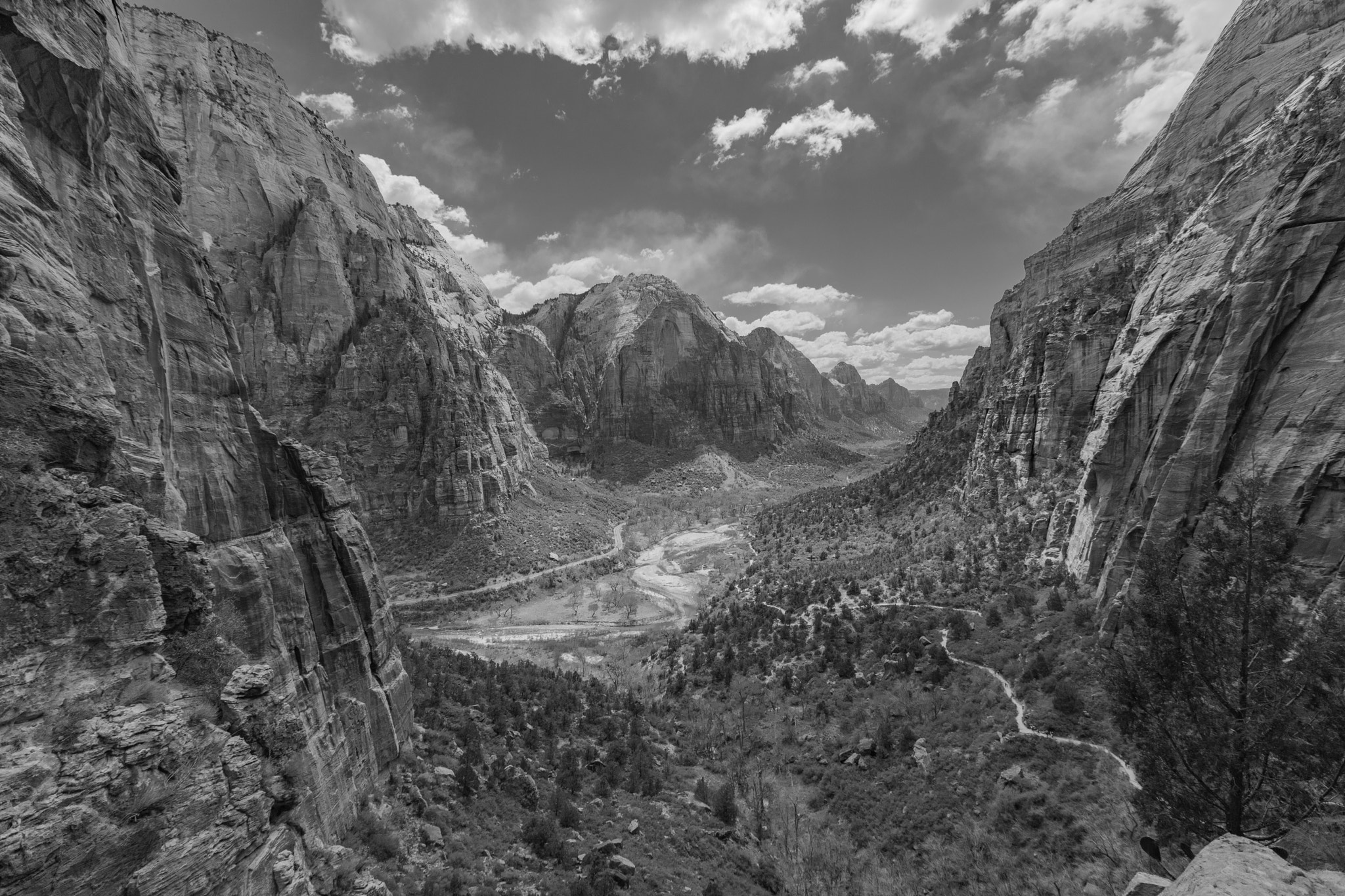 Monochromatic Mountain Valley Revealing Nature's Raw Power and Grandeur ...