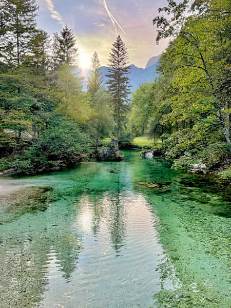 Clear River Flowing Through Forest Radiating Tranquility and Purity ...