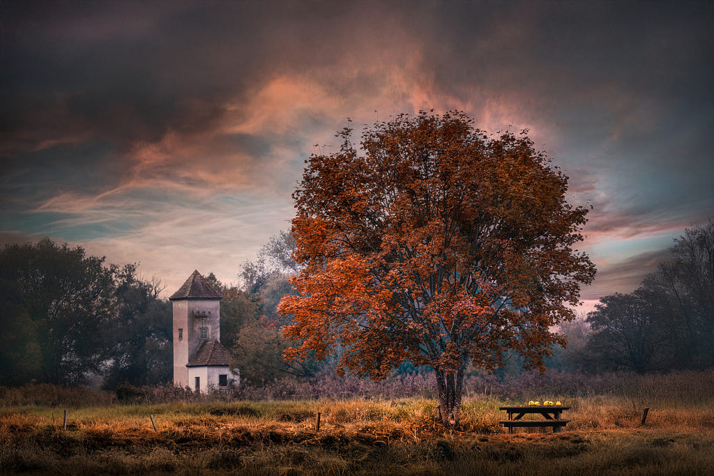 My first year on 500px and THANK YOU! by Stefan Fischer | 500px