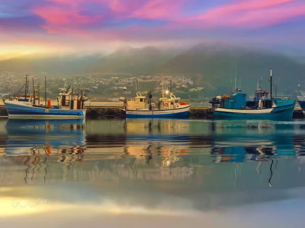 Terry Wells's Photos & Galleries | 500px