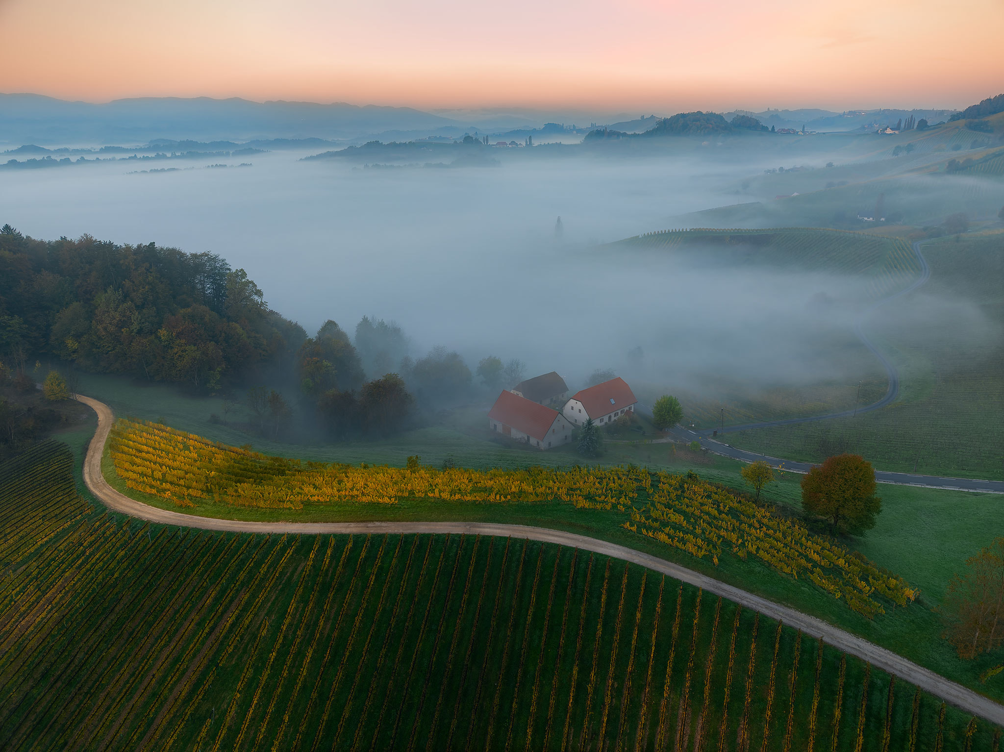 Misty Morning Over Rolling Hills Revealing Peaceful Landscape ...