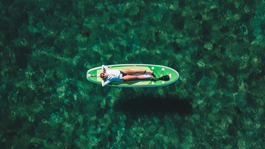 Majestic Oak Tree in Black and White | nature photo by Jean-Marc Rubis ...