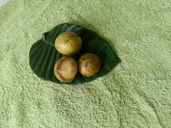 Humble Fruits Rest on Leaf Symbolizing Simplicity | still life photo by ...