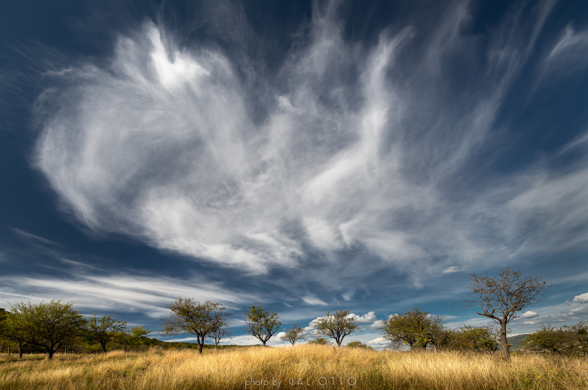 Dramatic Clouds Swirl Above Golden Fields Evoking Nature's Grandeur ...