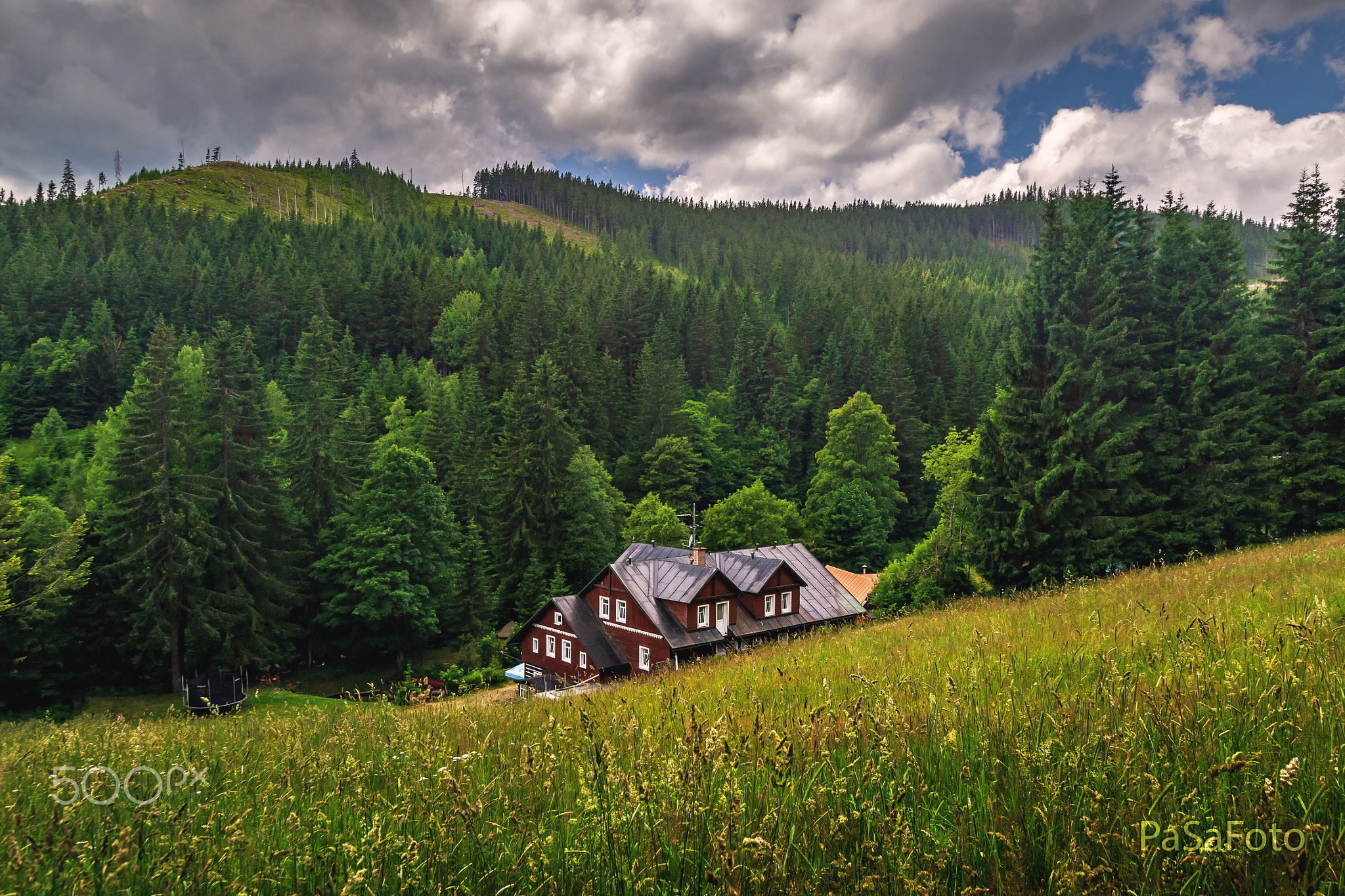 Cozy Cabin Nestled in Lush Forest Radiating Peace and Seclusion ...