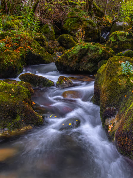 Cascading Water Evoking Nature's Serenity and Timeless Flow | landscape ...