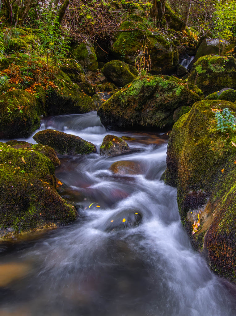 Cascading Water Evoking Nature's Serenity and Timeless Flow | landscape ...