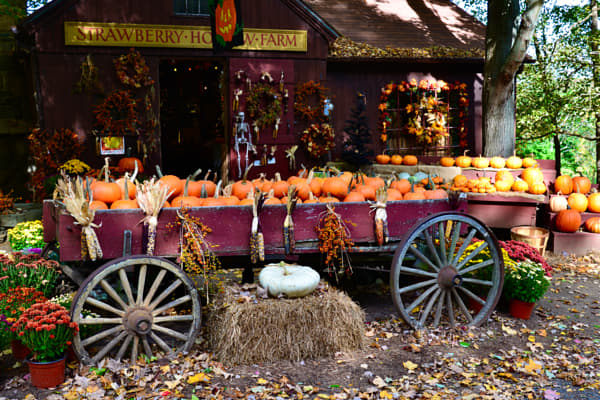 Halloween Display by Carl Testo | 500px
