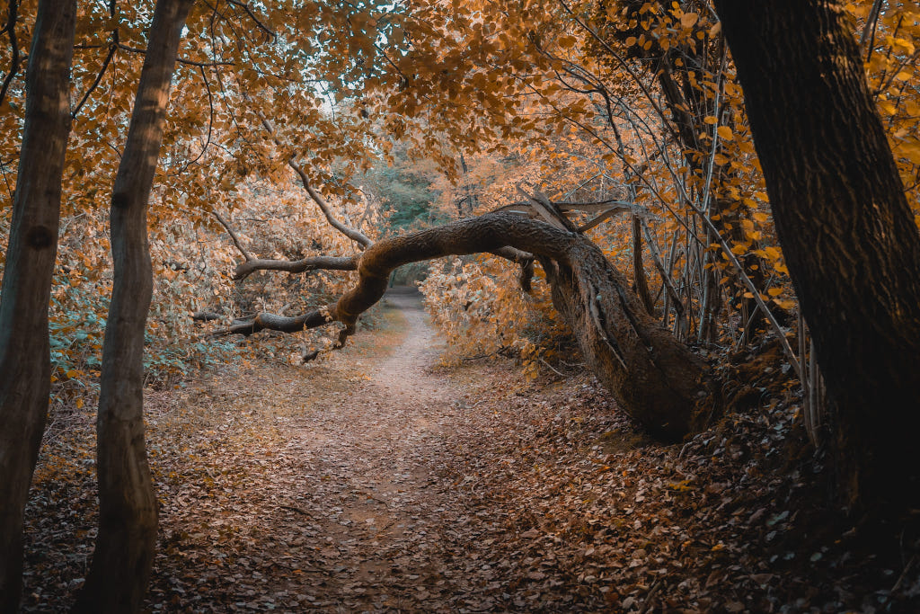Girl with a mirror by Jerzy Górecki | 500px