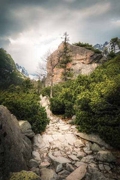 Rocky Path Ascends Mountain Symbolizing Challenge and Perseverance ...