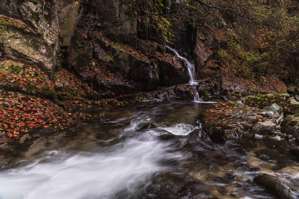 Forest Stream Flows Over Rocks, Symbolizing Nature's Persistence and ...