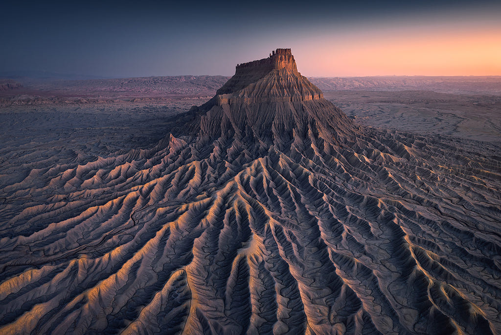 Tulips are Red by Aditya Mamtora | 500px