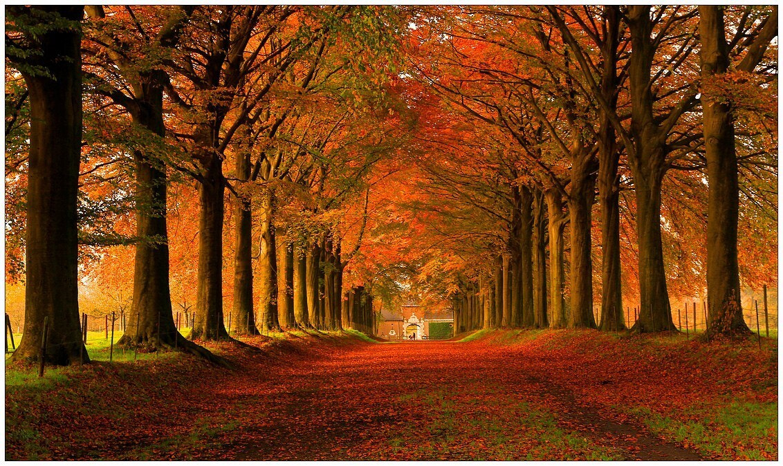 Castle lane by Peter Theunissen | 500px