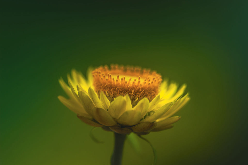 Reflection by Haochuan Liang | 500px