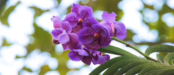 Khoi Tran Duc's Photos & Galleries | 500px