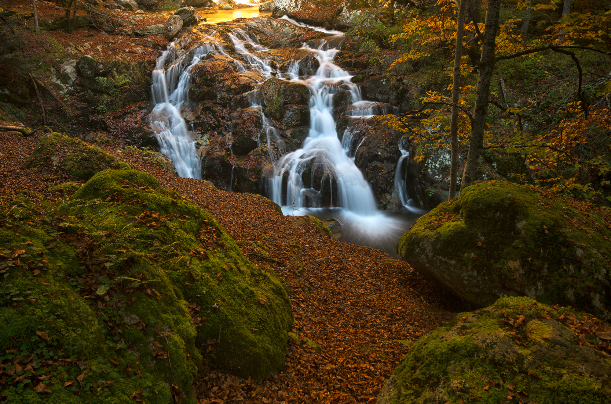Cascading Waterfall Flows Through Autumn Forest Radiating Vitality ...