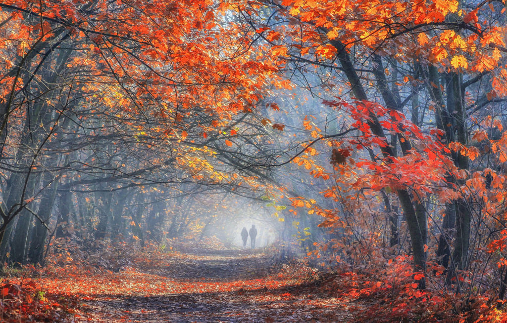 Sensual Form in Monochrome | people photo by fotovoyage | 500px