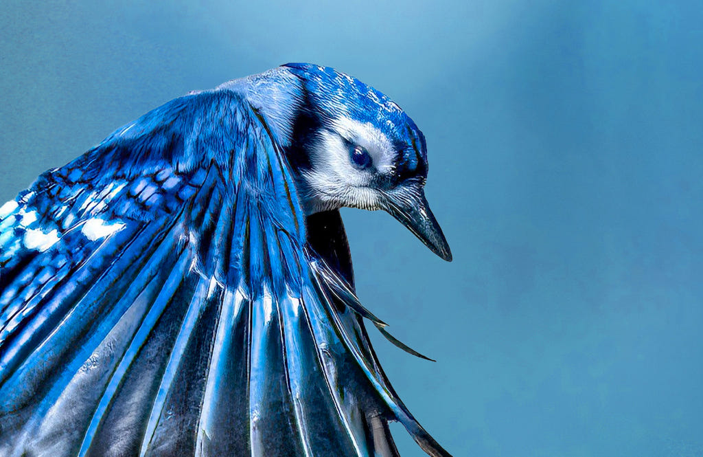 Lush River in Forest Representing Serenity and Untamed Nature ...