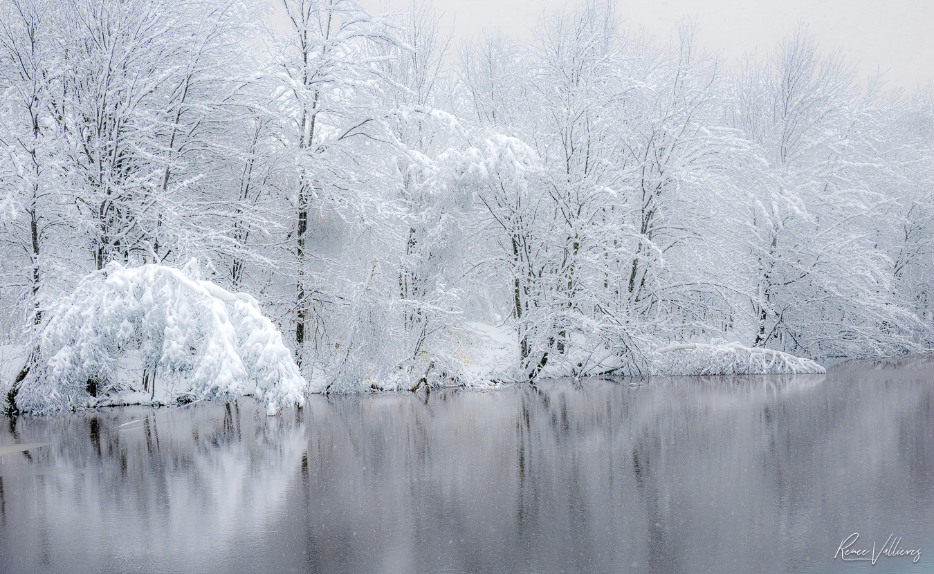 Winter Wonderland Reflecting Serenity and Nature's Beauty | landscape ...