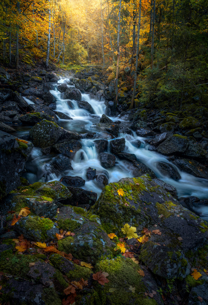 Cascading Waterfall Flows Through Forest Evoking Power and Natural ...