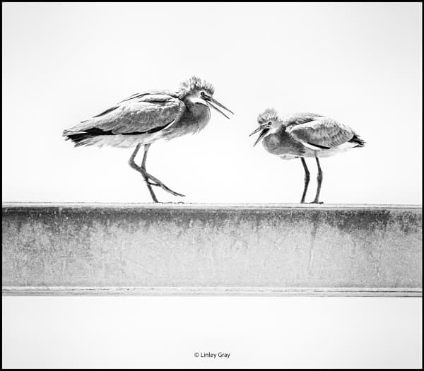 flight school debrief by 3 Iceblue | 500px