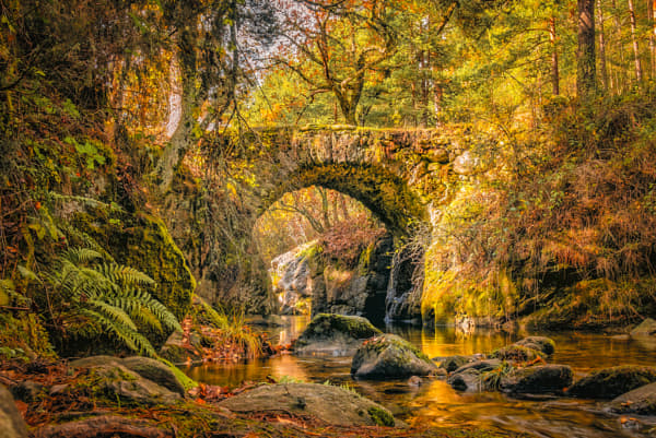 Ancient Stone Bridge Spans Autumnal Stream Radiating Tranquility and ...
