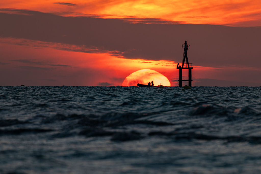 Blue Jay Perches Against Vibrant Sky Symbolizing Freedom and ...