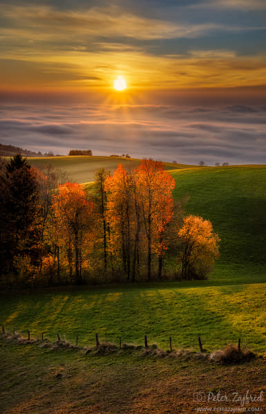 Autumn Sunset Illuminating Nature's Warmth and Transient Beauty ...