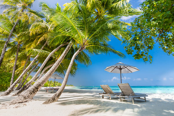 Tropical Paradise Unveiling Ultimate Relaxation and Escape | landscape ...