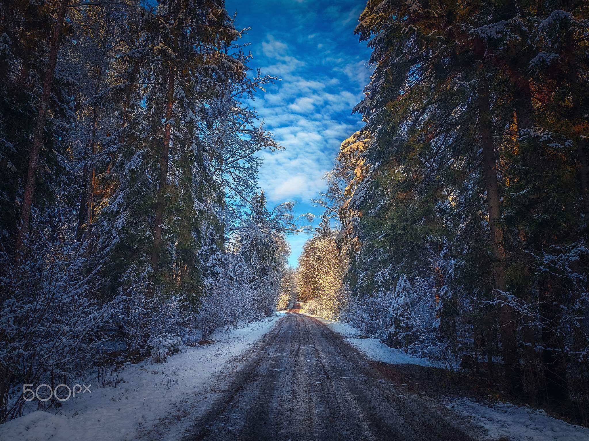 The first snow fell by Oleg Kozlov | 500px