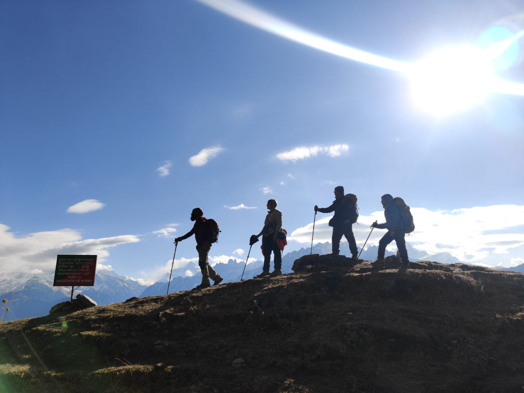 Pink Gerbera Daisy by Luann P. | 500px