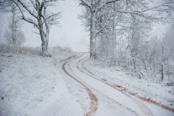 Snowy Path Through Winter Woods Evoking Solitude | landscape photo by ...