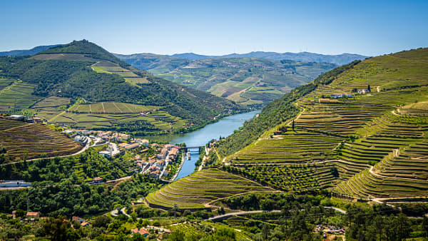 Vineyard Terraces Overlook River Evoking Abundance and Heritage by ...