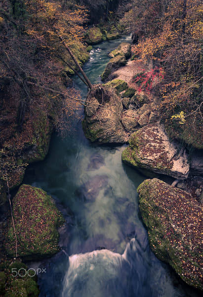 Forest Stream Flows Over Rocks Symbolizing Nature's Persistence and ...