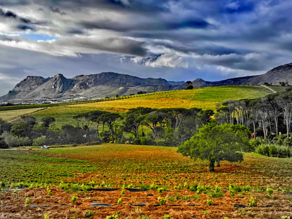 IMG_7221. Threatening sky by Terry Wells | 500px